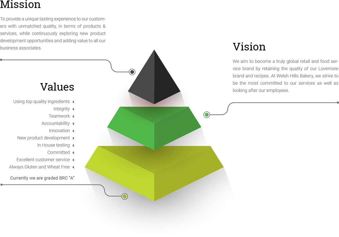 Our Vision - Lovemore Foods